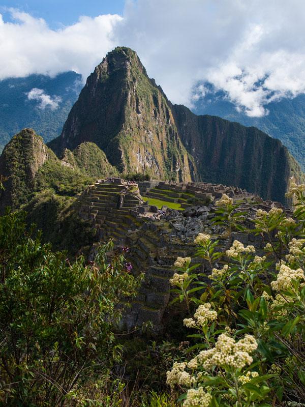20 Books about Peru that Captivate and Inspire - Inca Expert