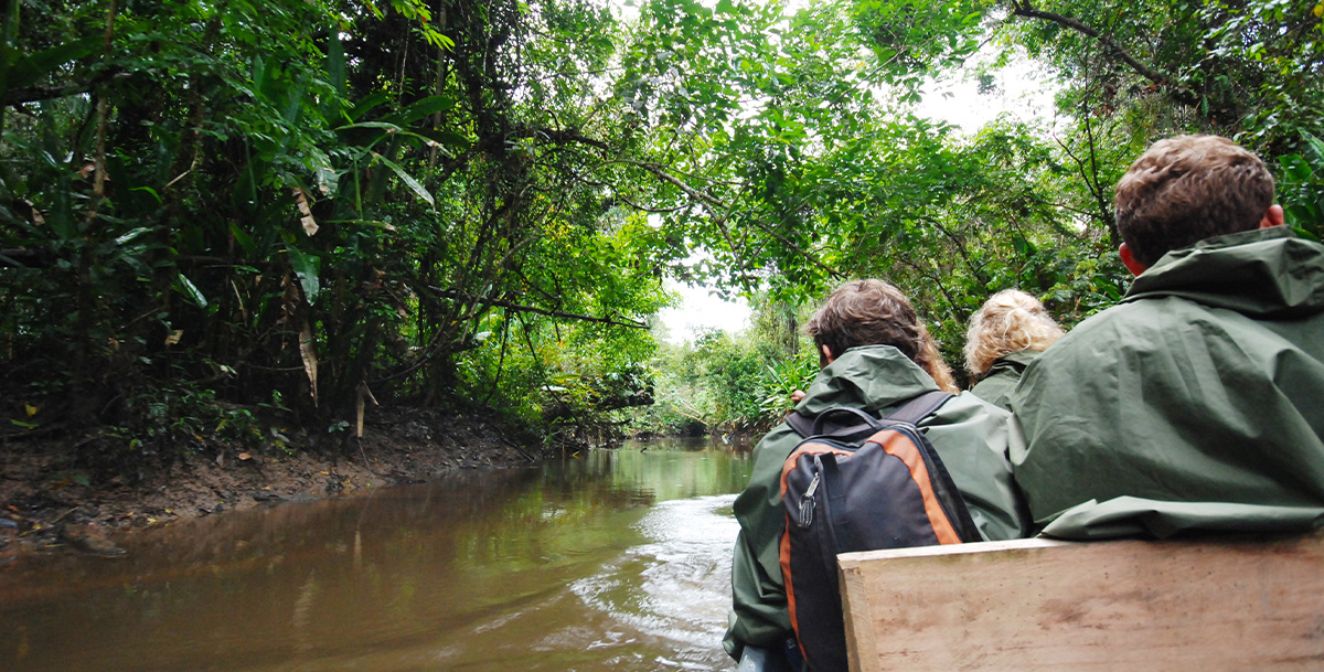 Custom 9-day Luxury Amazon Cruise and Machu Picchu Tour - Inca Expert