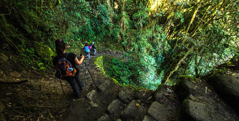 Custom, High-End 7-day Inca Trail Express - Inca Expert